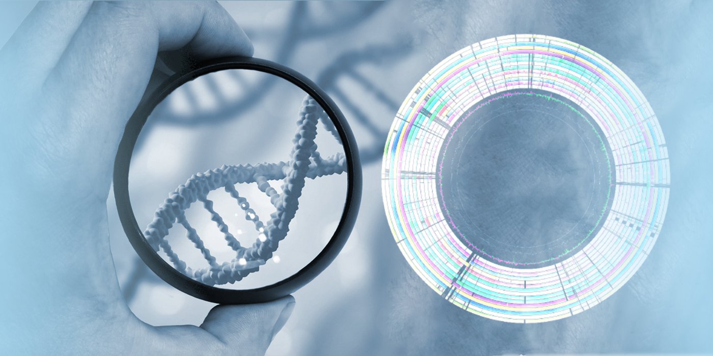 Whole Genome Sequencing | INNOVIA BioBank